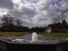 Bronmonitoring - Gedachten Uitpluizen